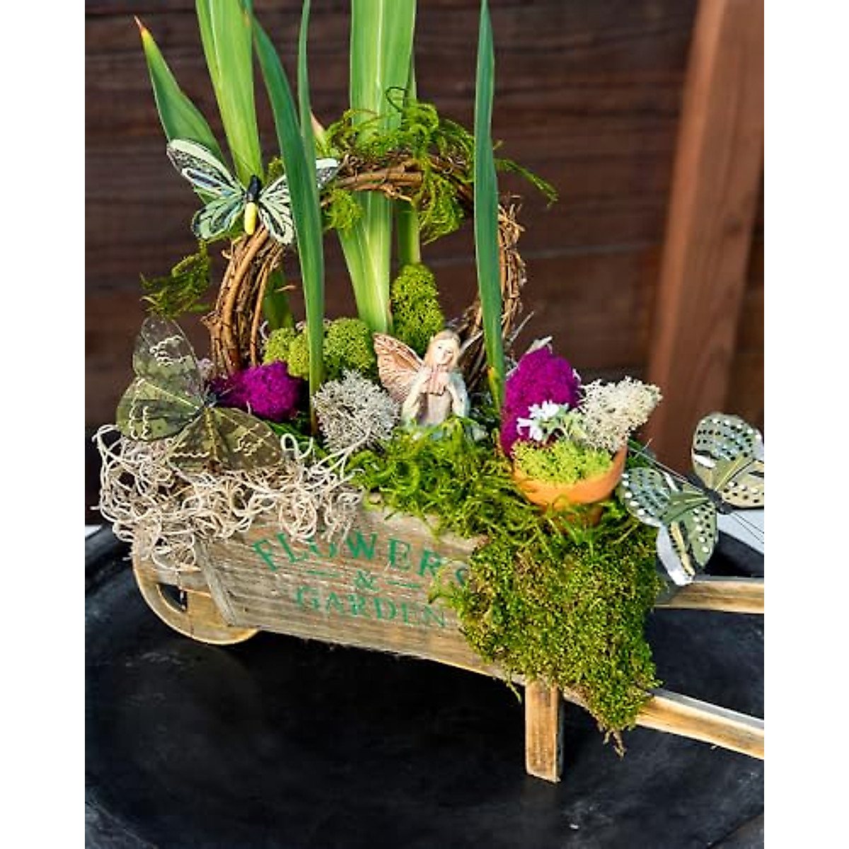 SuperMoss (23311) Elegant Decorative Mixed moss, MultiColor, 120 cu.in., white