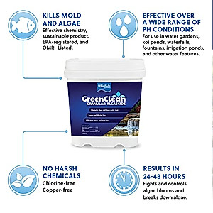 BioSafe Systems 3002-8 GreenClean Granular Algaecide String Algae Control for Koi Ponds, Fountains, Waterfalls, Water Features on Contact, 8 lbs, EPA Registered