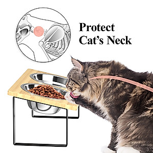 Elevated Cat Bowls Double: 15°Tilted Bamboo Food & Water Feeding Dishes - Large Stainless Steel Feeder Set for Cat & Puppy