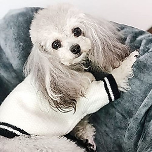 Sphynx Cat Clothes Hairless Cat Clothes Winter Casual Cotton Jacket Cat Sweater for Small Cats and Dogs Cornish,Devon,Perterbald (XL)