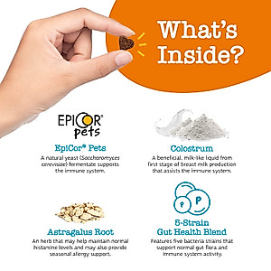 Zesty Paws Dog Allergy Relief - Anti Itch Supplement - Omega 3 Probiotics for Dogs - Digestive Health - Soft Chews for Skin & Seasonal Allergies - with Epicor Pets - Puppy - Lamb - 90 Count