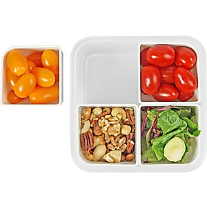 carrotez Food Storage Containers, 4 Compartment Portion Control Container, Snack Container For Adults, Meal Prep Container, Reusable, Microwave Safe, 4.6 Cup (1100ml), Pack of 2