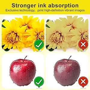 Yamation DTF Transfer Film Roll: 13inch 32.8ft Sheets Premium Double-Sided Matte Finish PET Transfer Paper Direct to Film Transfer Sheets