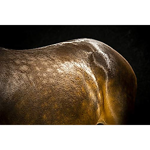 exhibitor's Quic Sheen 32 Ounce