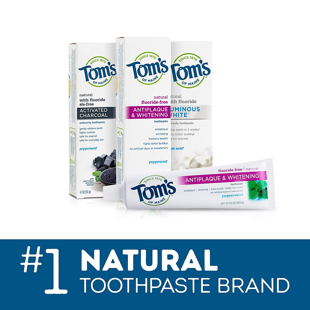Tom's of Maine Natural Care Toothpaste, Propolis & Myrrh, Antiplaque, Cinnamint, 5.5 oz (170 g) (Pack of 6)