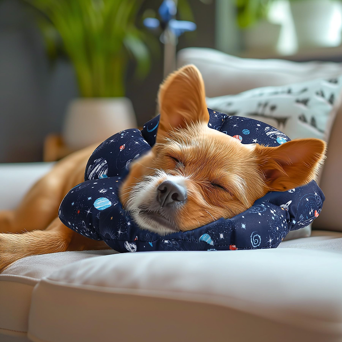 ComSaf Soft Dog Recovery Collar, Protective Adjustable Pet Cone Collar for After Surgery, Comfortable Lightweight Elizabethan Collar for Small Dog Cat Prevent from Licking Wounds, Not Block Vision