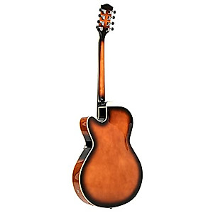 Gold Tone Mandocello: Mandocello with Pickup and Case