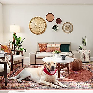 ASENKU Dog Scarf, Pet Dog Neck Warmer Lovely Winter Outfits Accessories for Small Medium Large Dogs, Protects Dog in Cold Weather (Medium, Red)