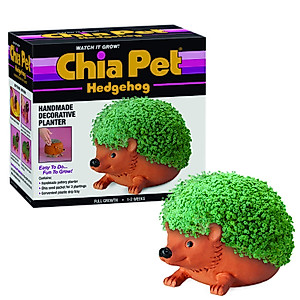 Chia Pet Hedgehog Decorative Pottery Planter with Seed Pack, Decorative Pottery Planter, Easy to Do and Fun to Grow, Novelty Gift, Perfect for Any Occasion