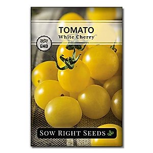 Sow Right Seeds - White Cherry Tomato Seed for Planting  - Non-GMO Heirloom Packet with Instructions to Plant a Home Vegetable Garden