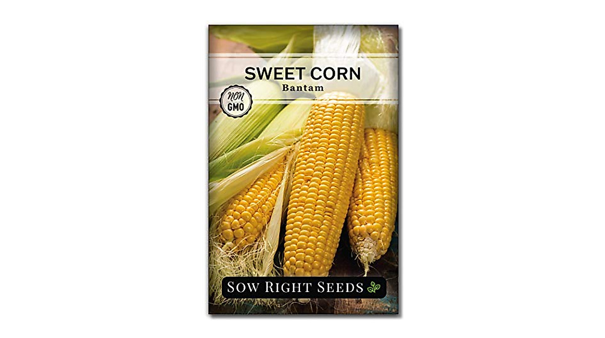 Grow Sweet Corn at Home - Sow Right Seeds Bantam Seed Pack