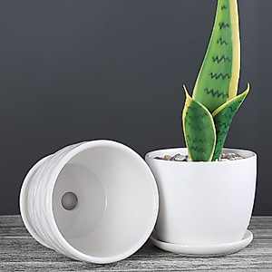 sietpoek Plant Pots - 4.7 Inch Cylinder Ceramic Planters with Connected Saucer, Pots for Succuelnt and Little Snake Plants, Set of 4, White