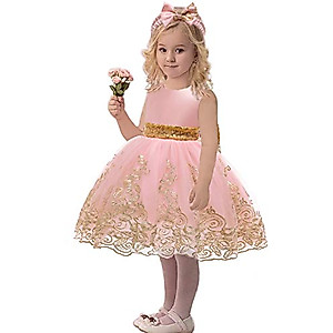 Flower Girl Dress 3-6 M Month Sleeveless Lace Embroidery Special Occasion Dress Ruffles Wedding Birthday Dresses Dressy Up Fancy Tulle Tutu Ball Gown for Infant Party Knee Sundress (8557Pink, 60)