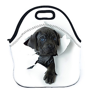 VIPbuy Waterproof 3D Labrador Retriever Dog Design Thermal Insulated Neoprene Lunch Bag Tote for Men Women Work Outdoor