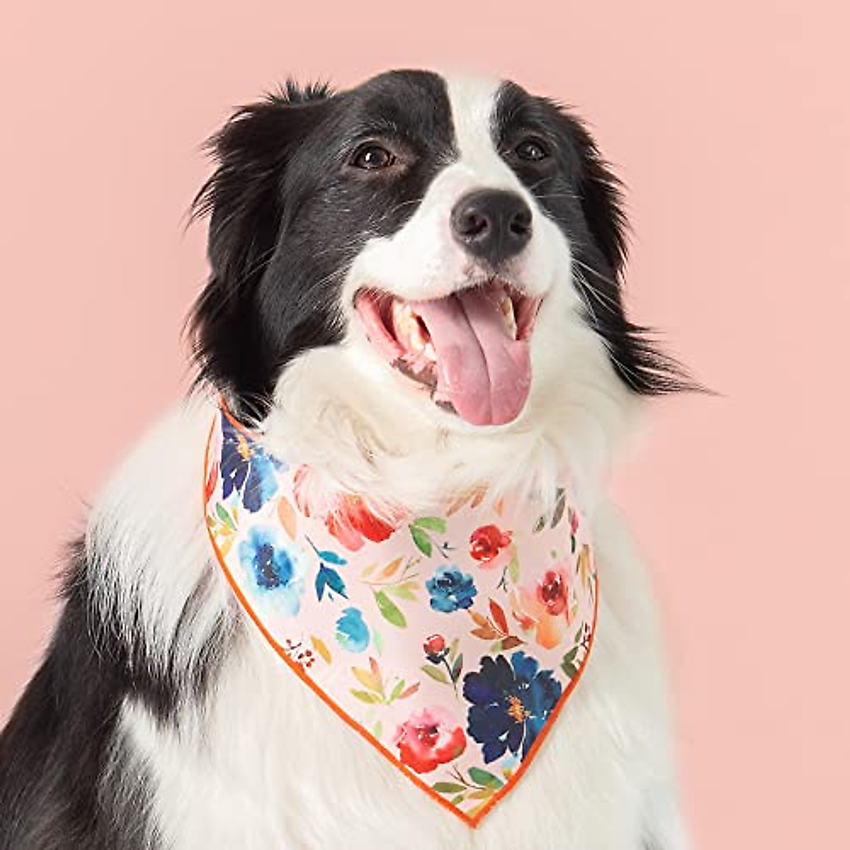 Paws Wishes Dog Bandana 2 Pack, Blossom and Leaves Set Vintage Garden, Pet Friendly Design, Hair and Water Resistant, Adjustable Dog Scarf for Small Boy Girl Dog