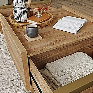 Sauder Manhattan Gate Engineered Wood Coffee Table in Sindoori Mango/Natural