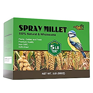 RANZ 5LBS Millet Spray for Birds, GMO-Free, Sun Dried Spray Millet, Original Bird Treats & Supplement for Parrots, Cockatiels, Lovebirds, Painted Buntings and Finches, Parakeets Food Millet