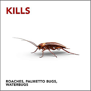 Raid Double Control Large Roach Bait, 8 CT (Pack of 3)