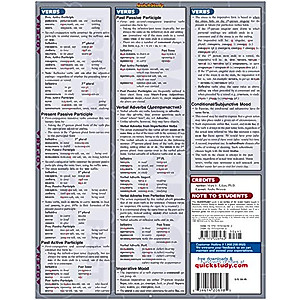 Russian Grammar QuickStudy Laminated Reference Guide (QuickStudy Academic)