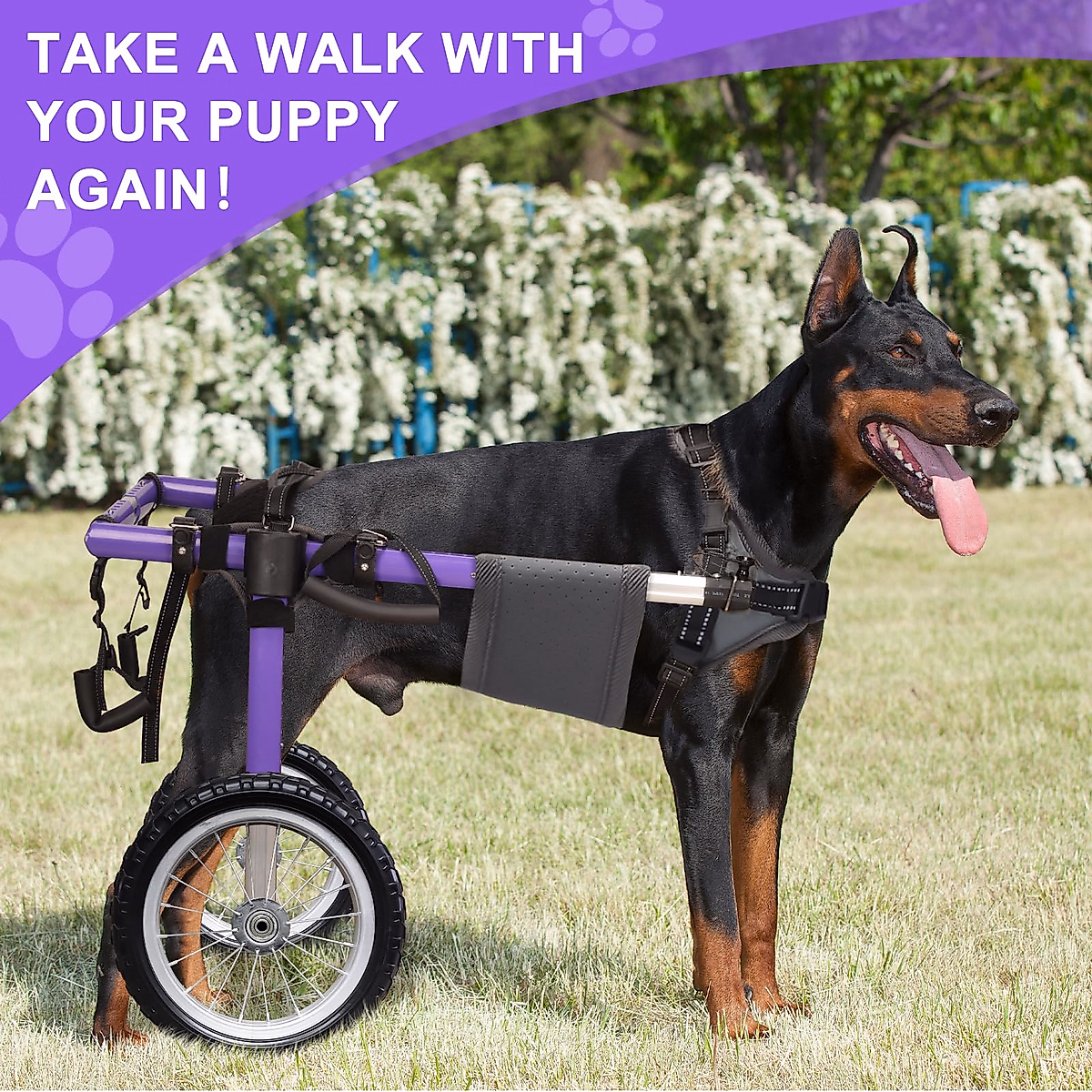 Virbraroo Dog Wheelchair for Back Legs Large Ultra-Light Aluminum Alloy, Upgraded All-Terrain Tires Dog Wheels for Back Legs for 19.6"-29.5", 88.1-132.2 lbs Disabled or Injured Large Dogs(XXL)