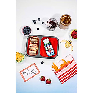 Stonyfield Organic Lowfat Yogurt Smoothies, Strawberry, 3.1 oz., 12 Ct - #1 Organic Kids Yogurt, Real Fruit & Wholesome Ingredients, 12 count (pack of 1)