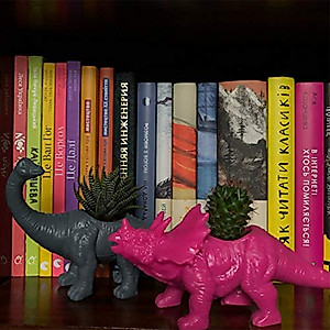 Cabilock 1 Pc Home Decoration Desk Topper Mini Pots Statue Decor Ceramic Plant Pot Mini Succulent Plants Decor Flower Pots Succulent Plant Holder Simulation Brachiosaurus Vase Household