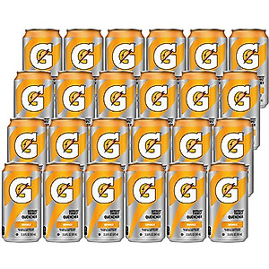 Gatorade Thirst Quencher, 24 Count, 11.6 oz Cans, Orange, 278.4 Fl Oz (Pack of 24)