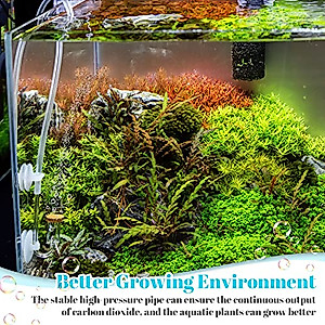 Boao 32.8 ft Aquarium CO2 Proof Tubing Clear Airline Tubing Aquarium Air Tubing 5/16 Inch with 12 Pcs Suction Cups Aquarium Air Pump Accessories for Fish Tank