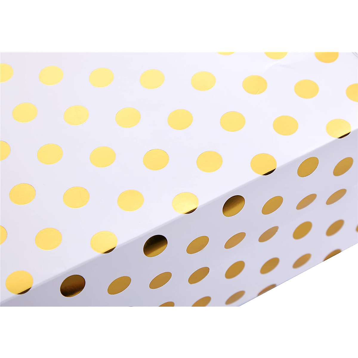 SUNCOLOR 4 Pack Large Gift Bags With Tissue Paper for Valentines's day, Birthday, Father's Day, Mother's and More