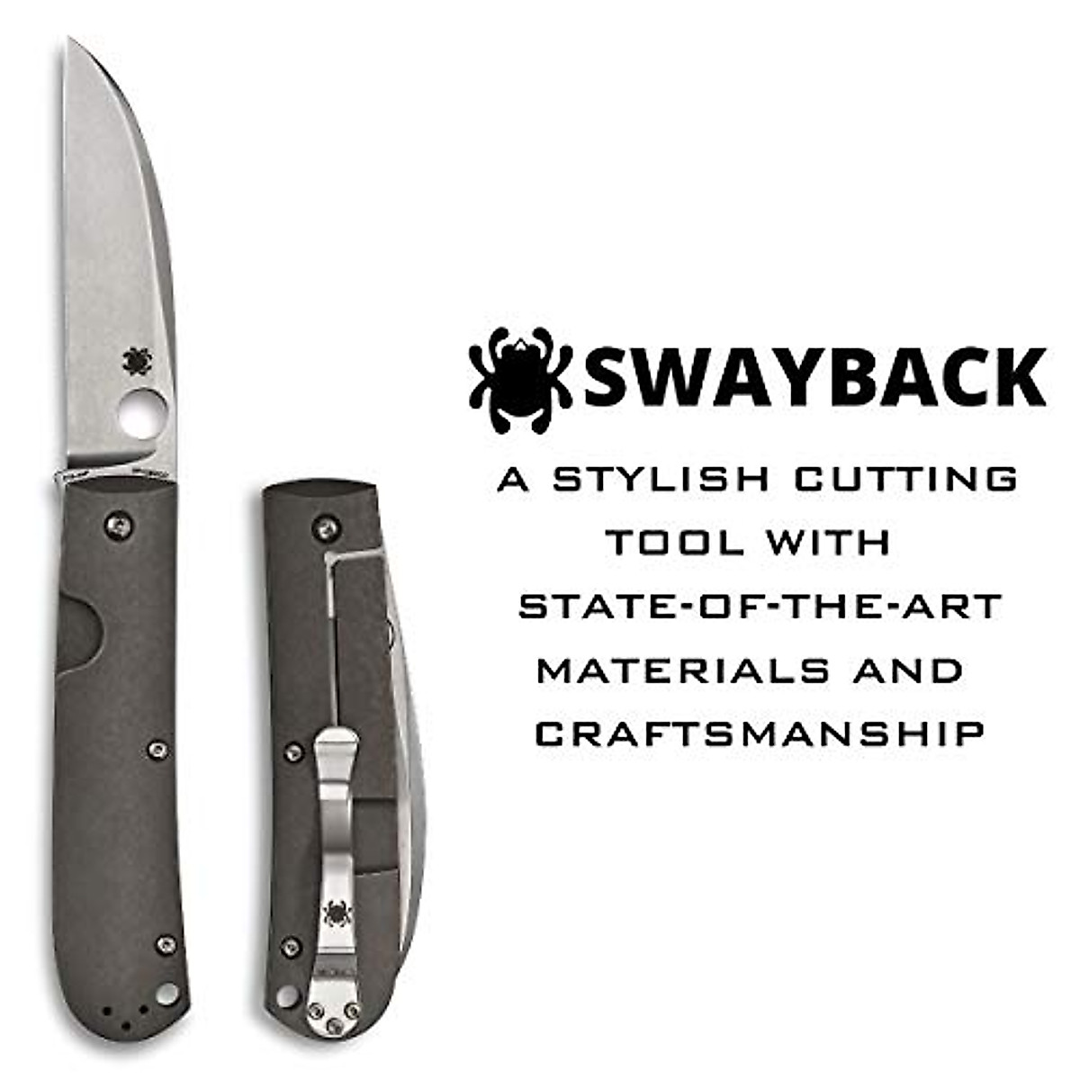 Spyderco SwayBack Premium Knife with 3.53" CTS XHP Stainless Steel with Durable Titanium Handle - PlainEdge - C249TIP