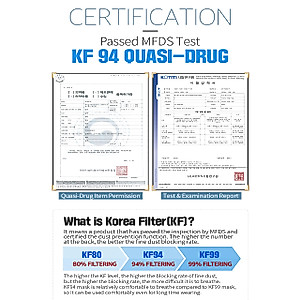 HAPPYDAY A Set of 25 Packages Made in KOREA 2D KF94 Black Face Mask for Adult