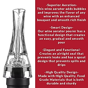 Skyway Wine Aerator Pourer Spout Premium Professional Quality - Instant Aerating No Spill Drip Spout - Enhanced Rich Finish and Improved Flavor - Fits Any Wine Bottle