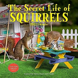 The Secret Life of Squirrels Wall Calendar 2023: Wild Squirrels Interacting with Handcrafted Domestic Scenes