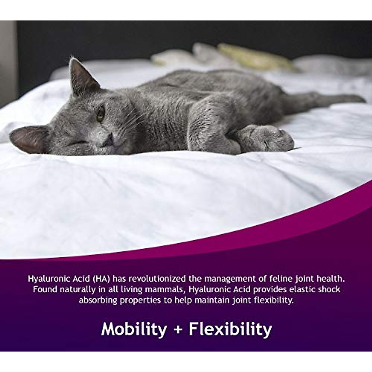 Cat Joint Supplement, Hyalogic Hyaluronic Acid Cat Supplements– 30-60 Day Supply, 1oz HA, Cartilage Supplement, Hip & Joint Supplement - Cat Health Supplies, W/ No Fuss Liquid Dropper