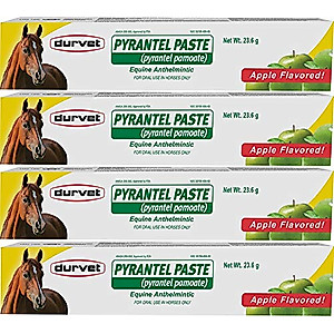 Pyrantel Paste Eq 23.6gm