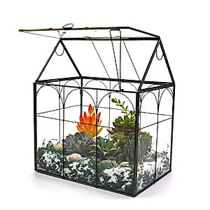 Large Tall Plant Greenhouse Terrarium Glass with Lid, 8.7"X5.9"X10.6" Inches Indoor Tabletop Orchid Succulent Cacti Terrarium Kit NA (House Black A)