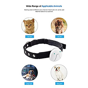 LeonardCreek Pet GPS Tracker for Dogs, Tracking Dog Collar Device, GPS Activity Monitor for Cats, Unlimited Range & Waterproof Tracker for Dogs, GPS Locator for Pets, Pet Activity Tracker (White)
