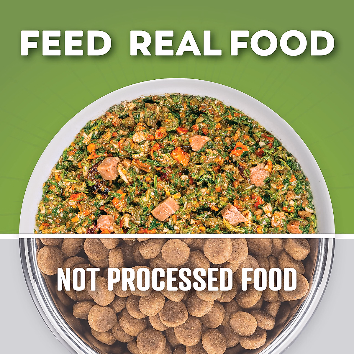 Dr. Harvey's Beef & Garden Veggies Dog Food, Human Grade Whole-Grain Dehydrated Dog Food with Freeze-Dried Beef (5.5 Ounces, Trial Size)