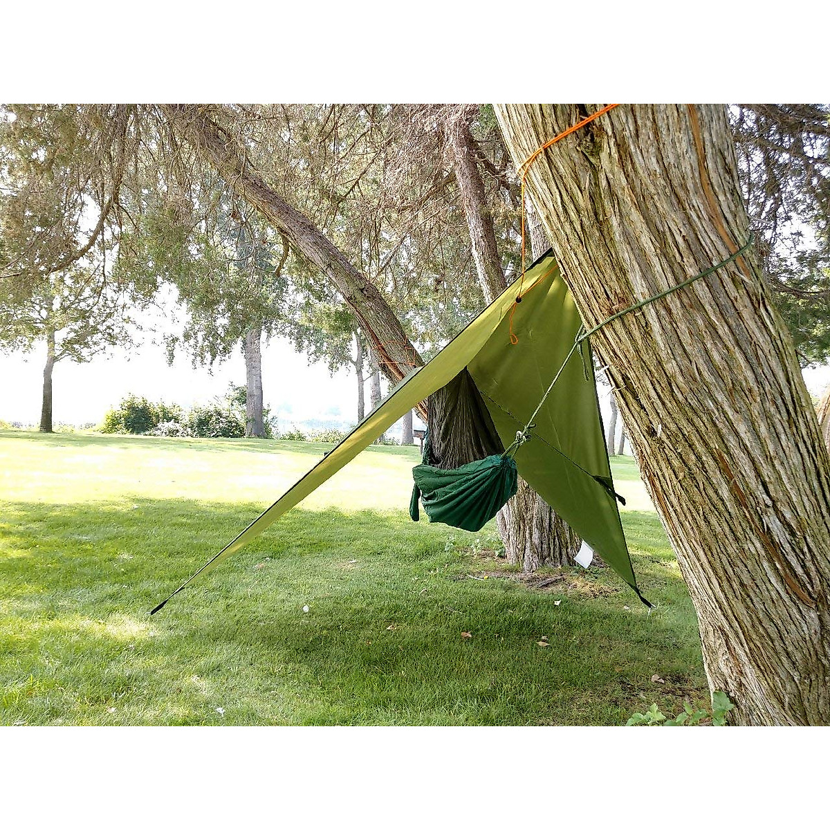 Hammock (Hammock with Rain Fly)