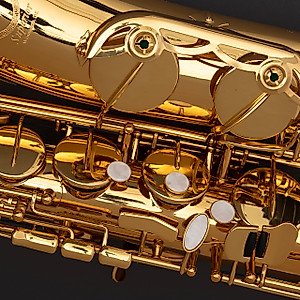 Saxophone Herche Superior Bb Tenor Saxophone X3 | Professional Instruments for All Levels | High F# Key | Educator Approved & Service Plan