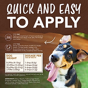 TropiClean Enticers Teeth Cleaning Gel & Toothbrush for Large Dogs | Peanut Butter & Honey Flavor | Bamboo Brush Speeds Up Plaque Removal | Gel Helps Fight Bad Breath | 2 oz