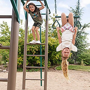 Lifetime 91028 Monkey Bar Adventure Swing Set, Earthtone