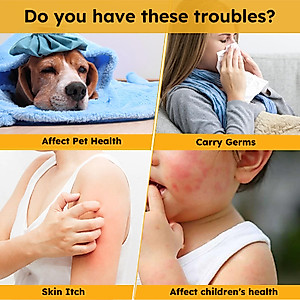 Flea Trap for Inside Your Home Indoor Electric Flea Light Catcher and Killer for House 2 Pack with 8 Sticky Pads Refills and 4 Replacement Lightbulbs