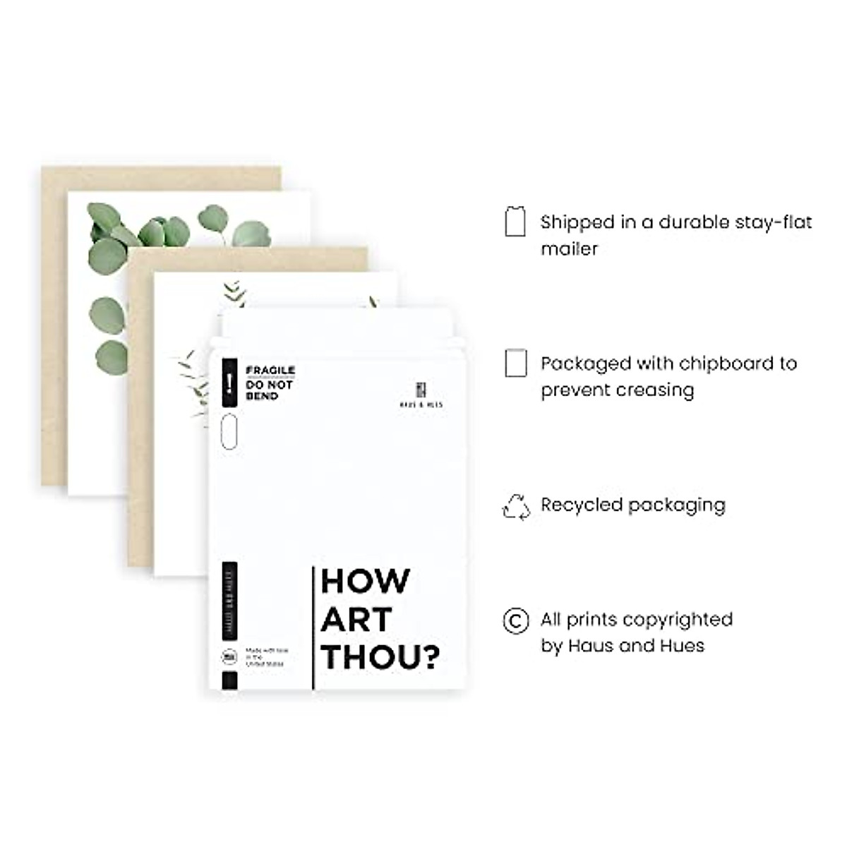 HAUS AND HUES Botanical Plant Wall Art Prints - Set of 4 Plant Decor Prints, Floral Kitchen Pictures, Flower Leaves Wall Art, Boho Leaf Eucalyptus Wall Décor (8x10, UNFRAMED)