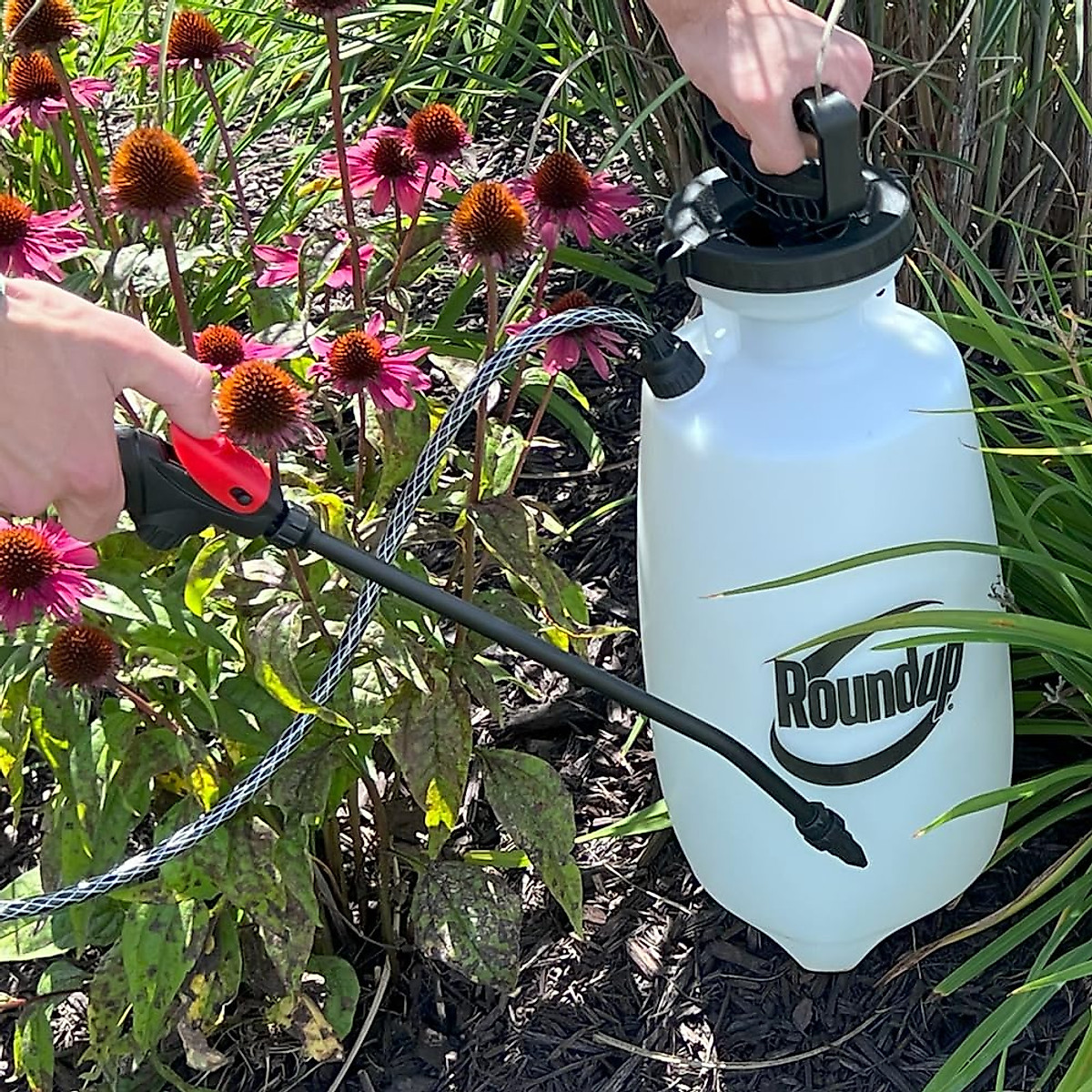 Roundup 190260 Lawn and Garden Sprayer, 2 Gallon