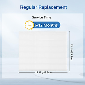 2 Pack D480 True HEPA Replacement Filter D4 Compatible with Winix D480, H13 Grade True HEPA Filter