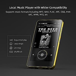 80GB MP3 Player with Bluetooth and WiFi, MP4 MP3 Player with Spotify,Spotify Kids，4" Full Touch Screen with Pandora, Music Player with Audible，Android MP3 with Speaker (Gold_Black)