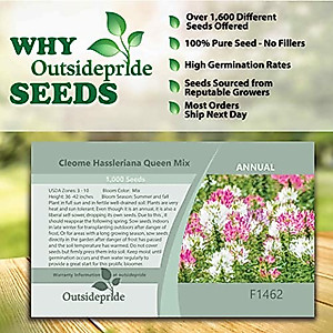 Outsidepride Cleome Garden Cut Flower Seed Mix - 1000 Seeds