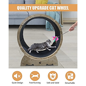 Cat Wheel Cat Exercise Wheel Indoor, Cat Treadmill Wheel, Cat Running Wheel Cat Toy Cats Loss Weight Device Natural Wood Grain