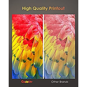 Gappitv 910 Black Ink Cartridge 910XL Black Ink Cartridges Replacement for 910 XL for 910XL Ink Cartridges Compatible for OfficeJet Pro 8025 8025e 8020 8035 8028 8028e 8035e Printers (2 Black)